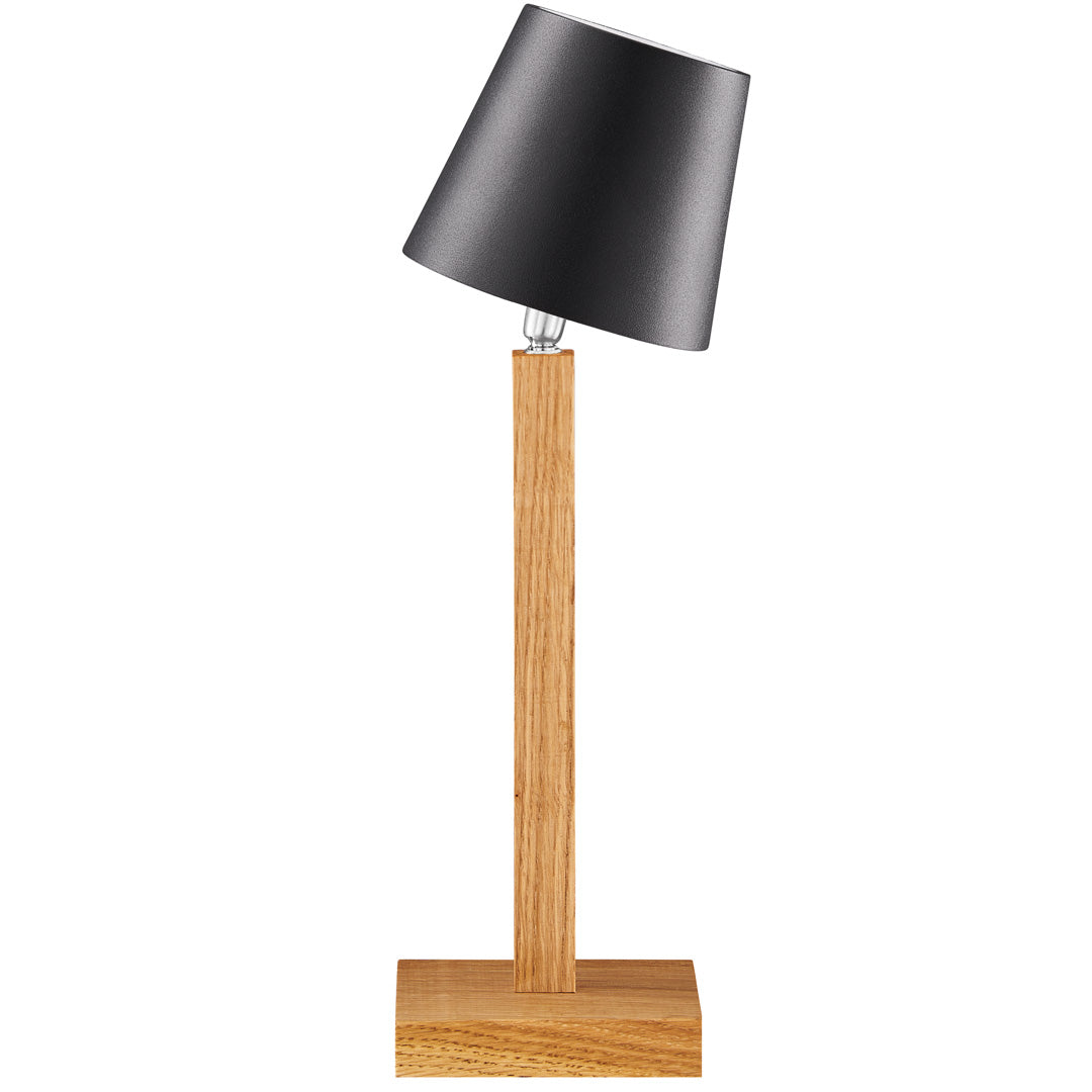 Ed battery light for indoor and outdoor use, round black lamp head ...